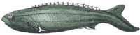 Anaspids