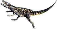 Euparkeria