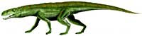 Aetosaurs