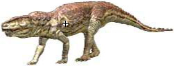 Rauisuchus, Postosuchus