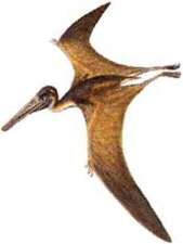 Some pterosaurs survived and diversified, becoming the first air-borne ...
