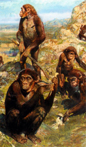 The best-known species are A. afarensis ( 3.8 — 3 Mya ) and A ...